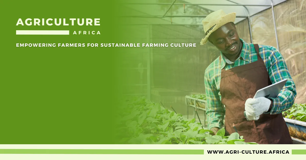 Our Initiatives: Transforming African Agriculture With Innovation