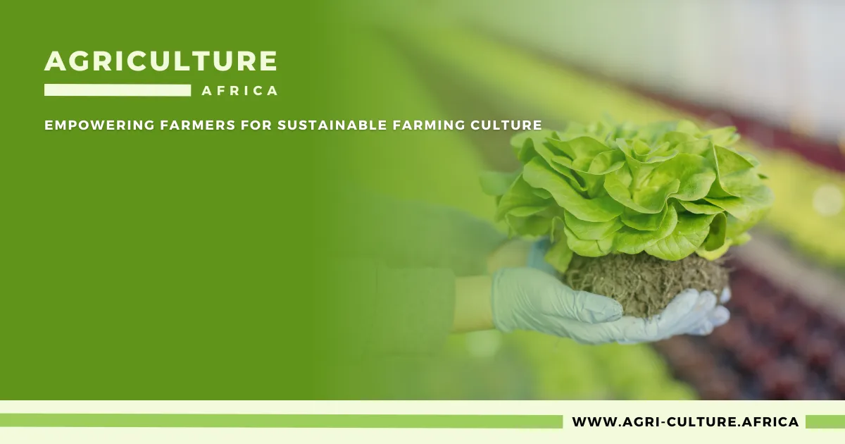 Explore Sustainable Farming Hub: Transforming Agriculture